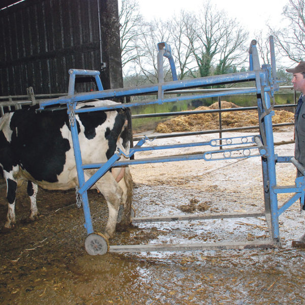 La cage de contention revisitée | Journal Paysan Breton