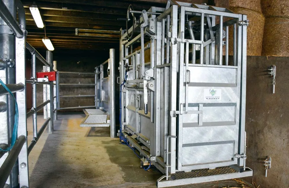France Élevage facilite contention et interventions | Journal Paysan Breton