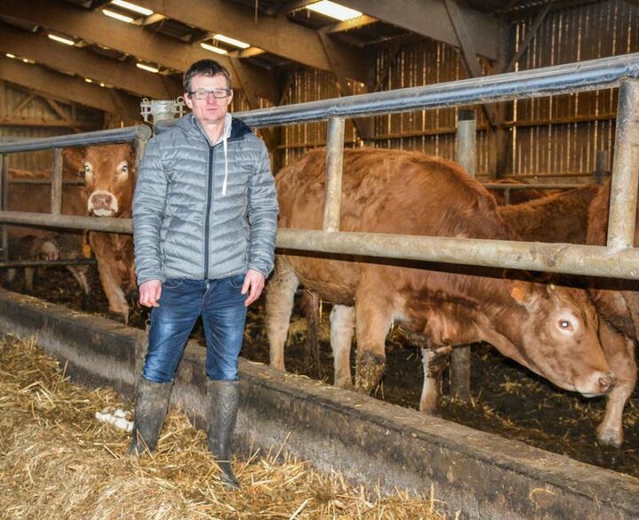 Viande bovine : Plus d'autonomie avec le pâturage tournant dynamique ...