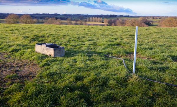 Viande bovine : Plus d'autonomie avec le pâturage tournant dynamique ...