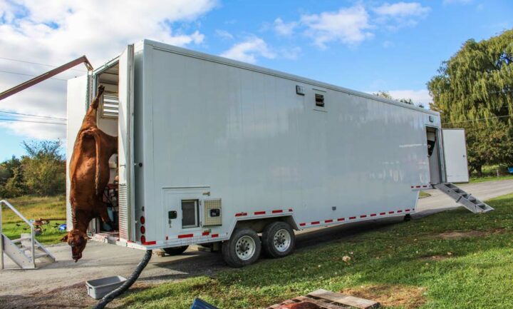 EGalim : Oui aux abattoirs mobiles en France | Journal Paysan Breton