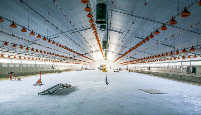 Un nouveau bâtiment volailles de chair pour assurer l’avenir | Journal ...