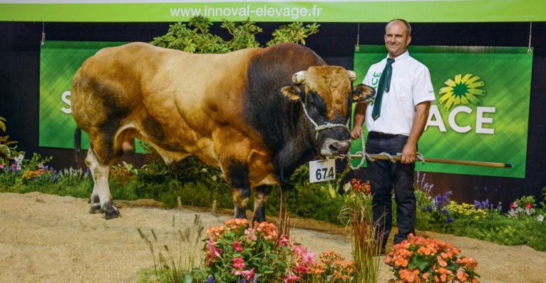 Parthenaise au Space 2018 : De la viande mais aussi des capacités d ...
