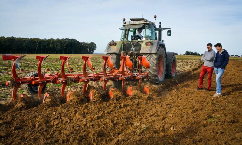 La charrue déchaumeuse, pour désherber ou mélanger | Journal Paysan Breton