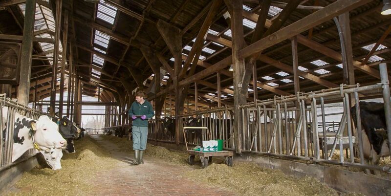 Gérer correctement la stabilité du rumen. Mais comment ? | Journal ...