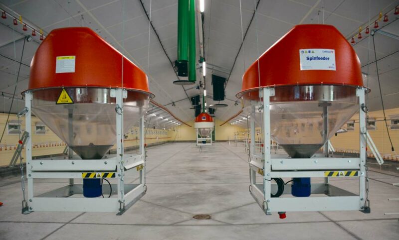 Un distributeur rotatif pour alimenter les volailles – Journal Paysan ...