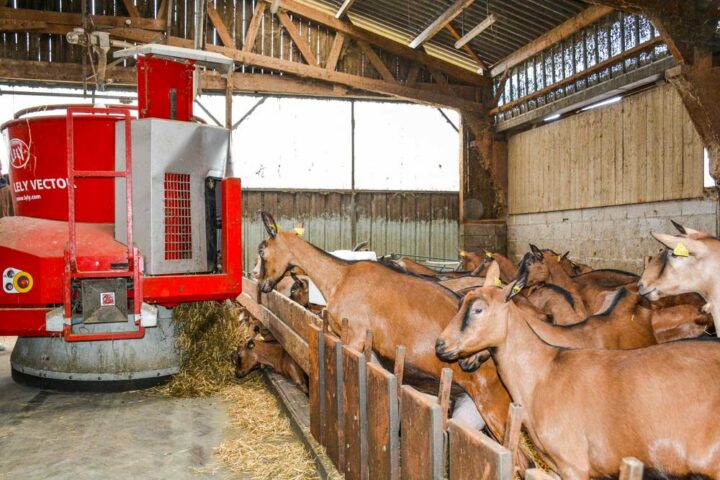 Déléguer l’alimentation des chèvres à un robot | Journal Paysan Breton