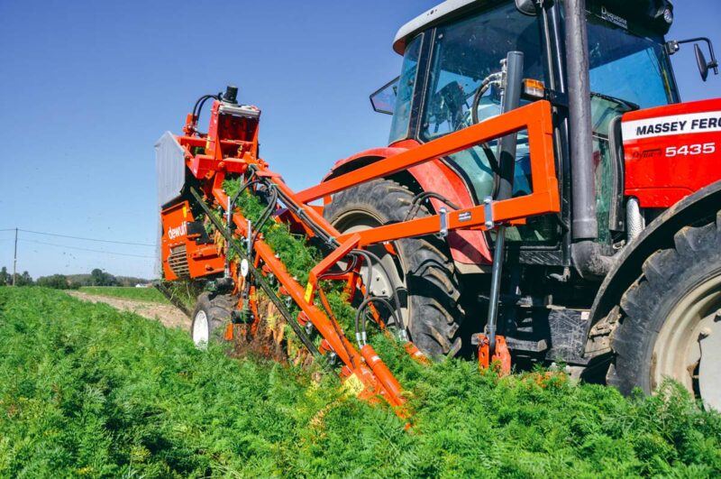 L’arracheuse par préhension respecte les carottes | Journal Paysan Breton