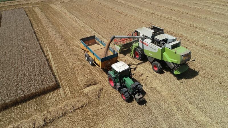 Céréales bio : traçabilité au centre de la collecte | Journal Paysan Breton