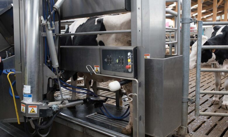 Bien traite | Journal Paysan Breton