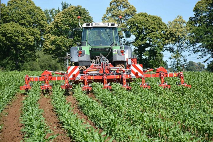 Une bineuse polyvalente en semis sur 6 ou 8 rangs | Journal Paysan Breton
