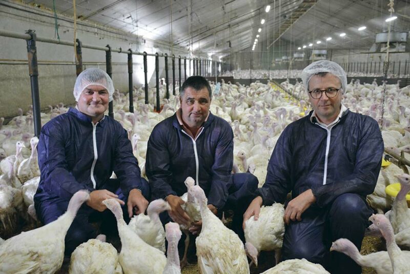 Un poulailler qui a évolué pour répondre aux coups de chaleur | Journal ...