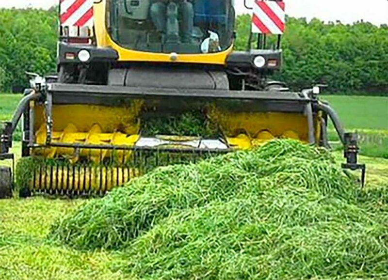 Faire un bon ensilage d’herbe | Journal Paysan Breton
