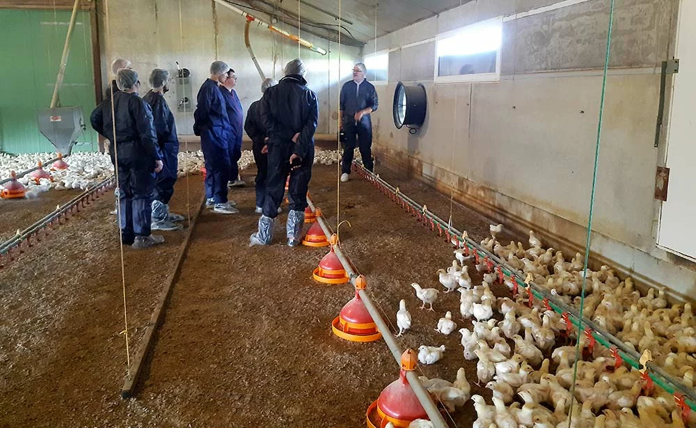 Les aviculteurs se rencontrent pour parler technique | Journal Paysan ...
