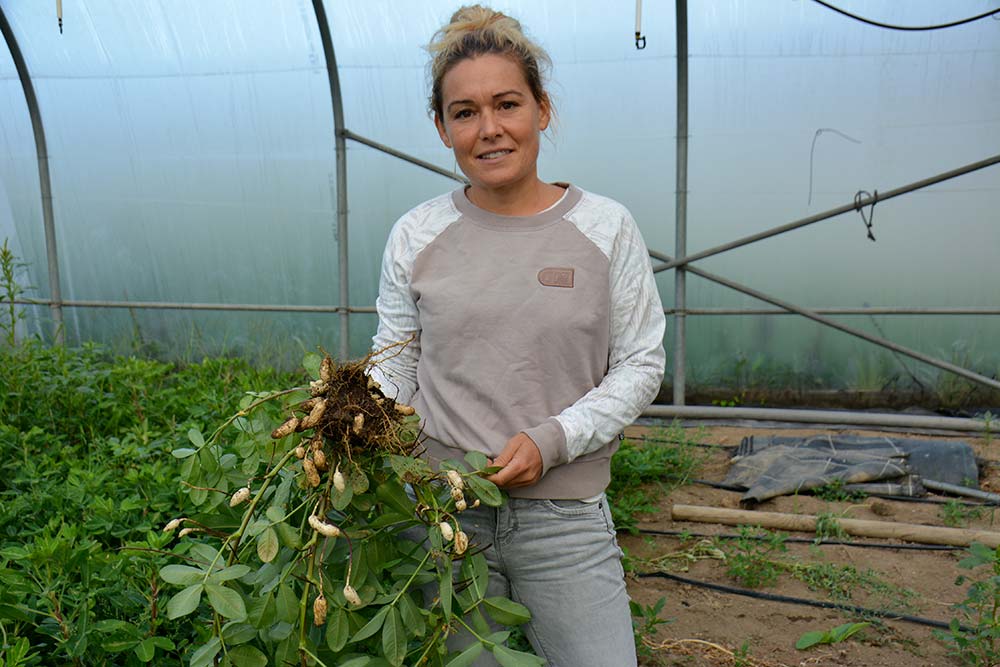 Le confort de travail, une préoccupation à Kerplouz – Journal Paysan Breton Le confort de travail, une préoccupation à Kerplouz – Journal Paysan Breton