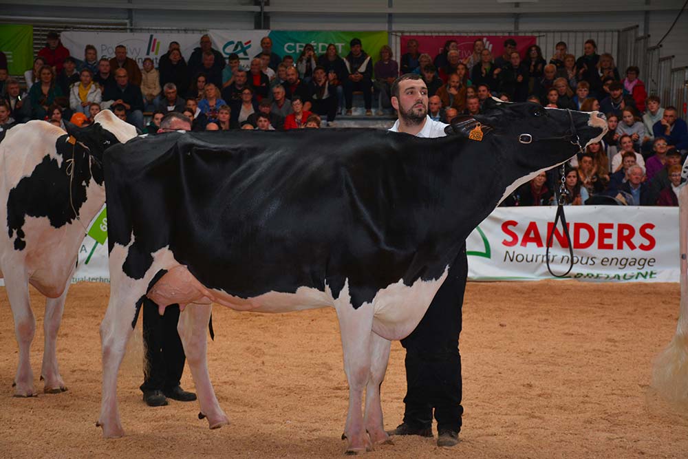 Madina, Grande championne | Journal Paysan Breton