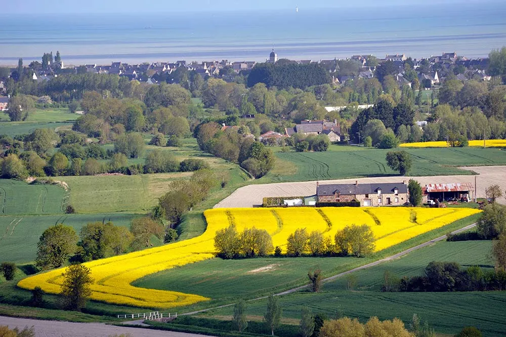 Revisiter la protection des cultures à l’échelle du système | Journal ...