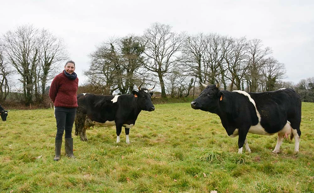 Tifenn nous en fait tout un fromage | Journal Paysan Breton