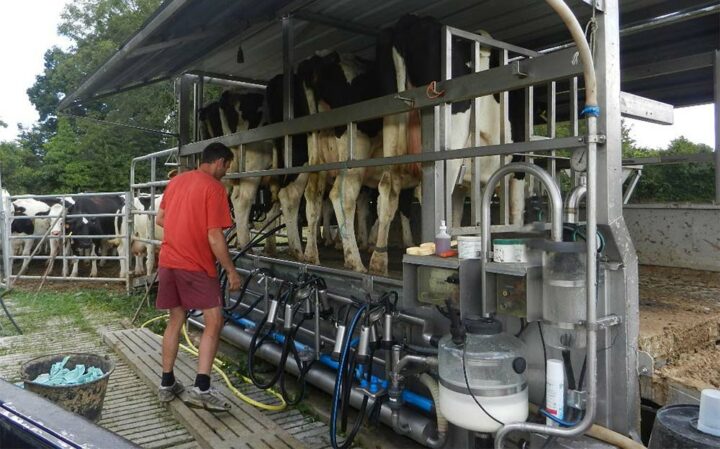 47 ha de pâturage en plus avec la salle de traite mobile | Journal ...