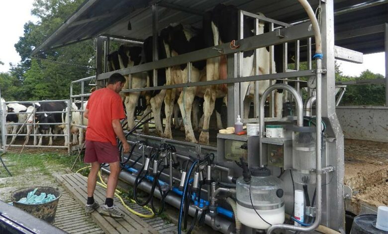 47 ha de pâturage en plus avec la salle de traite mobile | Journal ...