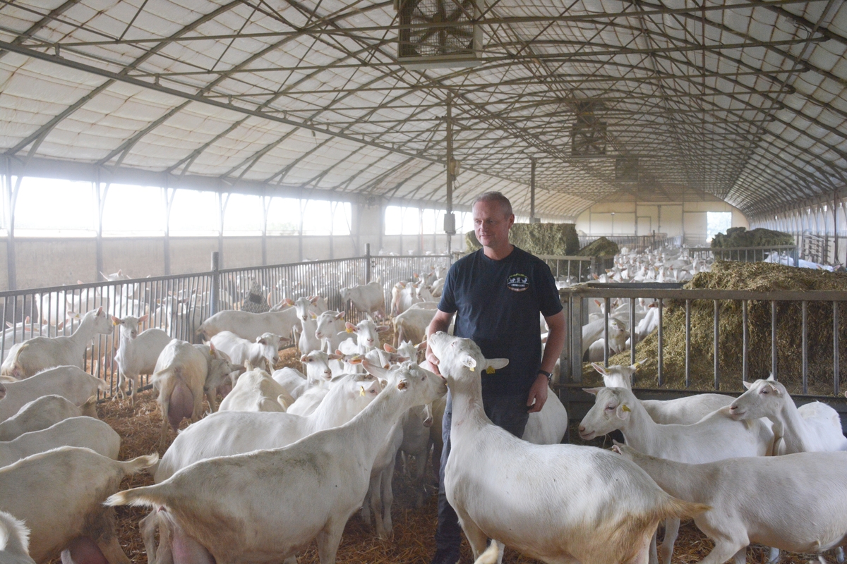 Ovin/caprin | Journal Paysan Breton