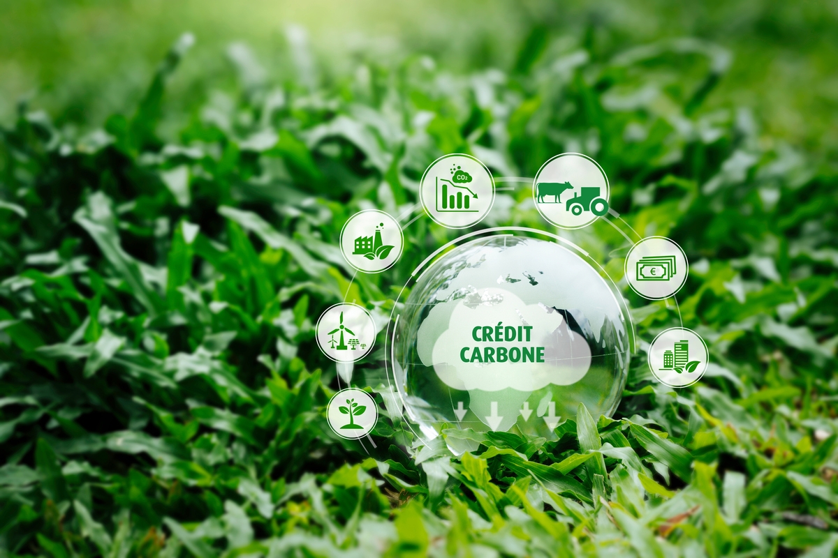 Le marché du carbone, un outil incitatif | Journal Paysan Breton