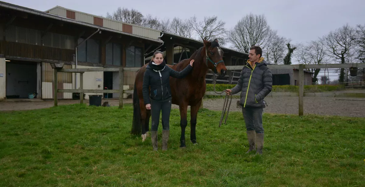 Au Haras d’Youville, la formation de Marion devient concrète | Journal Paysan Breton