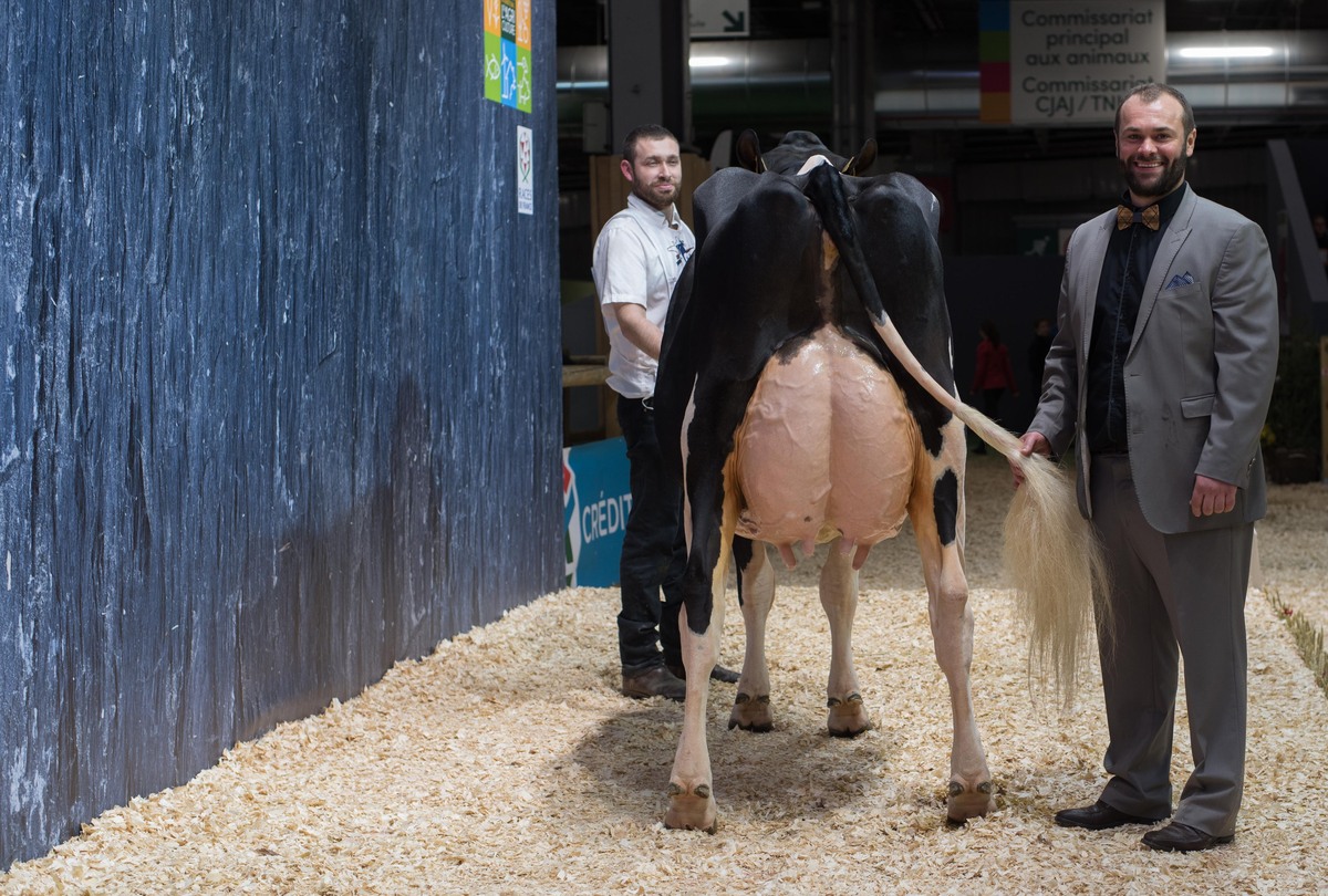 Étienne Adam, juge du concours Holstein du Space 2025 à Rennes.
